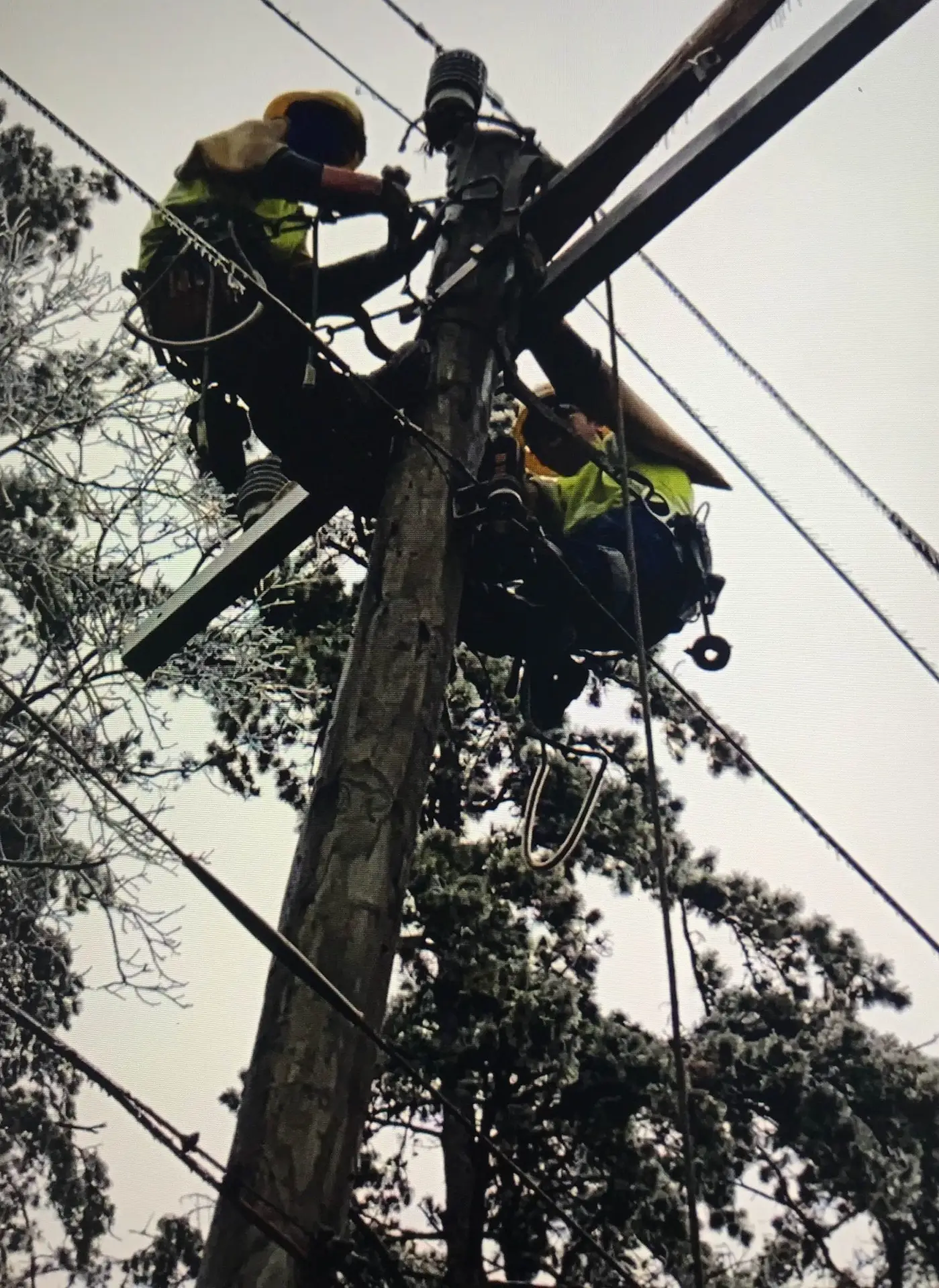 Martin Community College program provides the skills to be successful ...